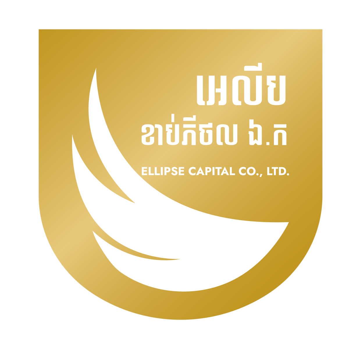 Ellipse Capital – Best Choice for Financial